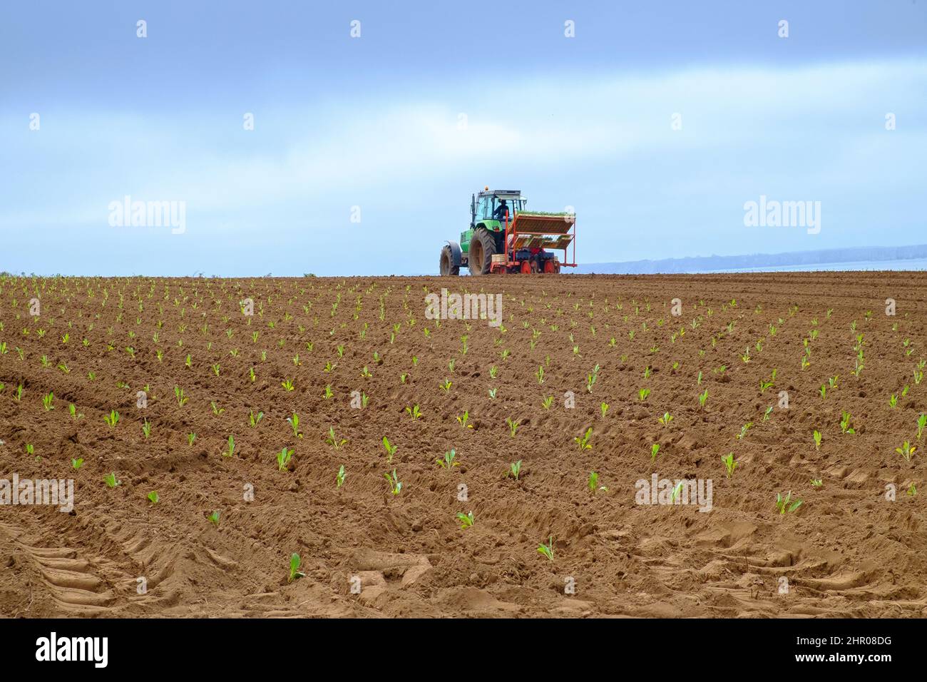 Planting methods hi-res stock photography and images - Alamy