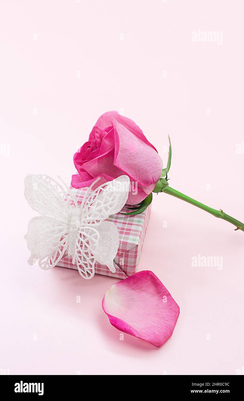 Pink Rose With Butterfly