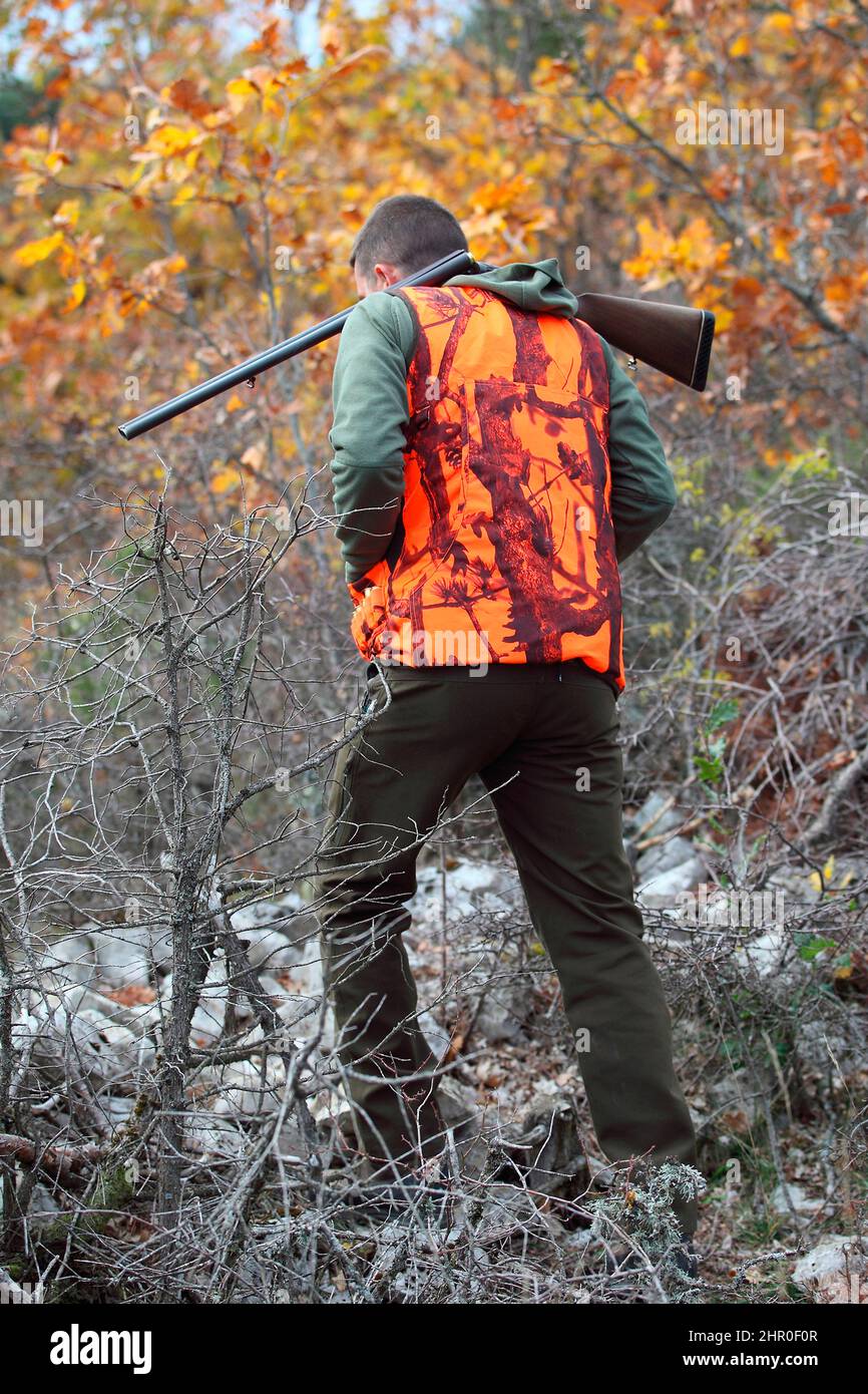 Man hunting in a forest of the Vaucluse, France Stock Photo - Alamy