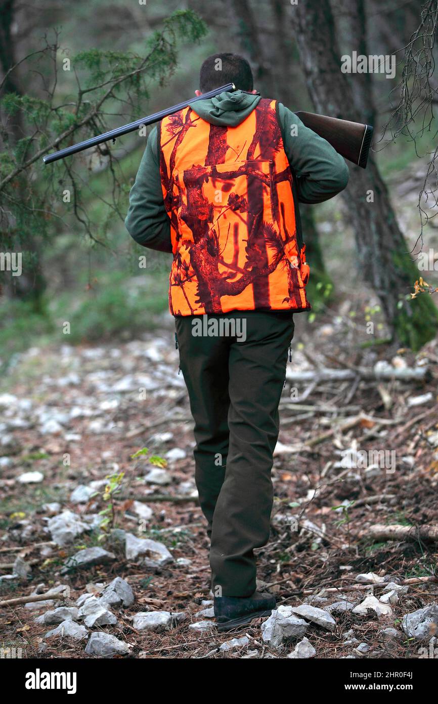 Man hunting in a forest of the Vaucluse, France Stock Photo - Alamy