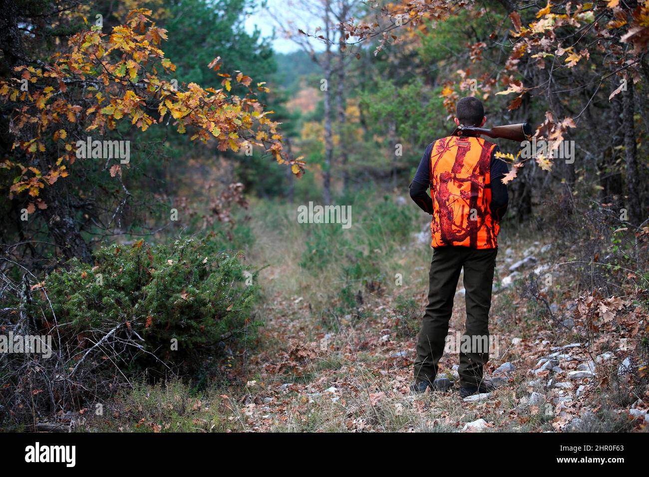 Man hunting in a forest of the Vaucluse, France Stock Photo - Alamy