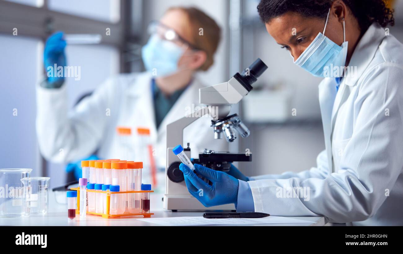 Two Female Lab Workers Wearing PPE Researching Covid-19 Vaccine In ...