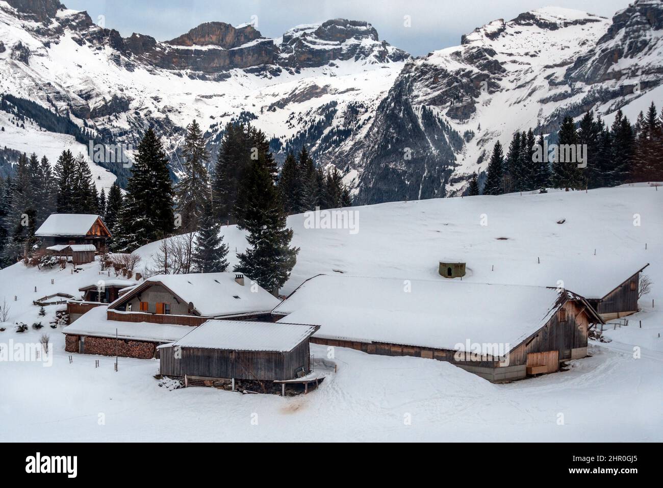 Swiss winter landscapes on Mt Titlis near Engelberg Stock Photo - Alamy