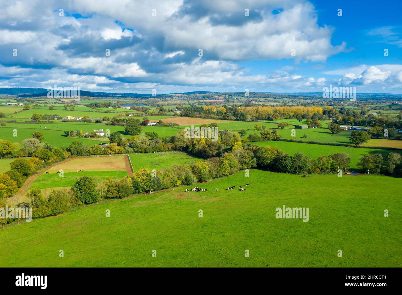 Autumn in Devon near Exeter, Devon, England, United Kingdom, Europe ...