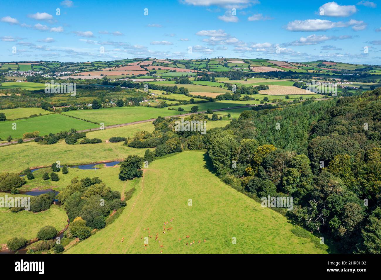 Spring in Devon near Exeter, England, United Kingdom, Europe Stock ...