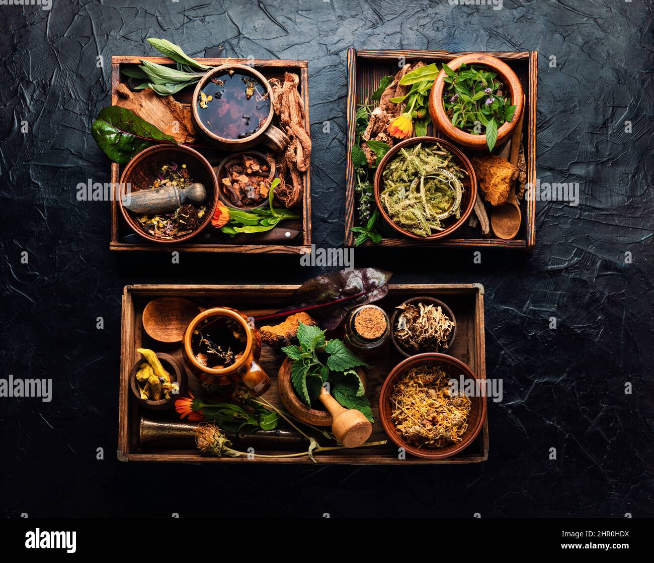 Medicinal plants and roots in herbal medicine Stock Photo - Alamy