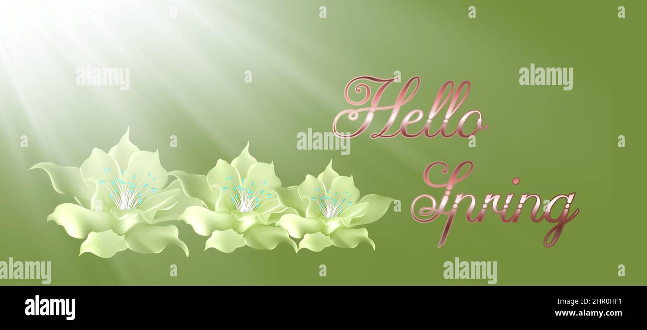 Hello spring background with flowers and copy space for design Stock ...