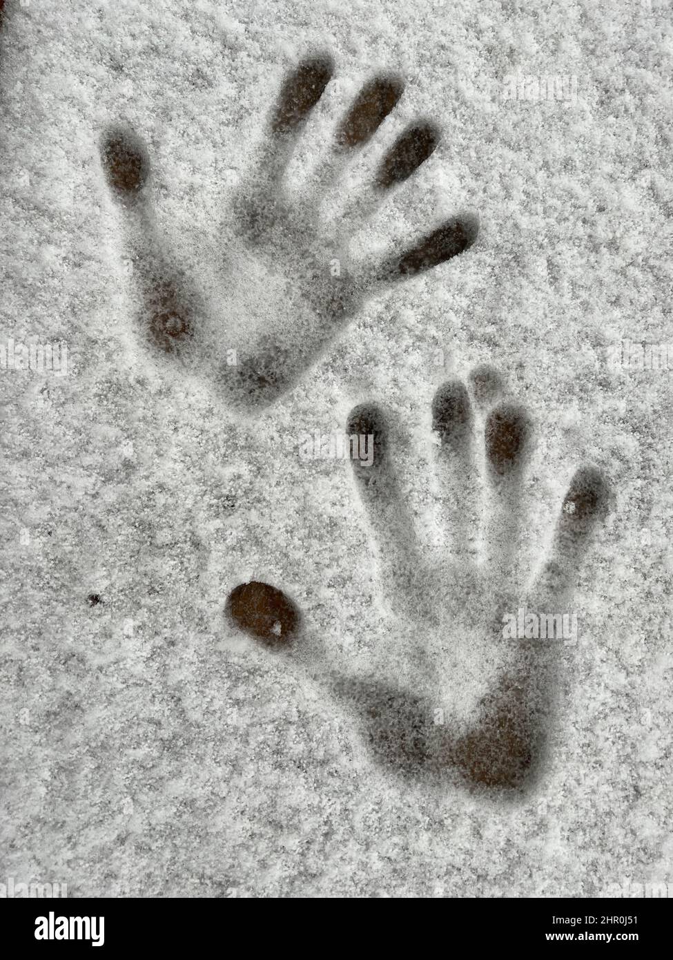 Hand prints in the newly fallen snow Stock Photo - Alamy