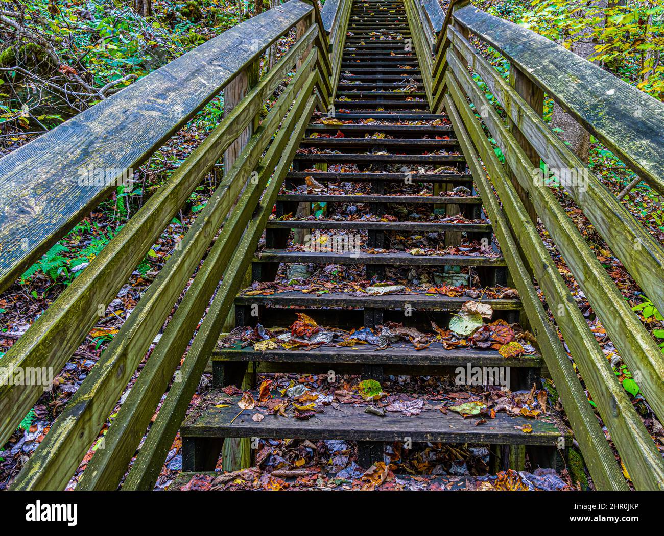 Kaymoor mine trail hi-res stock photography and images - Alamy