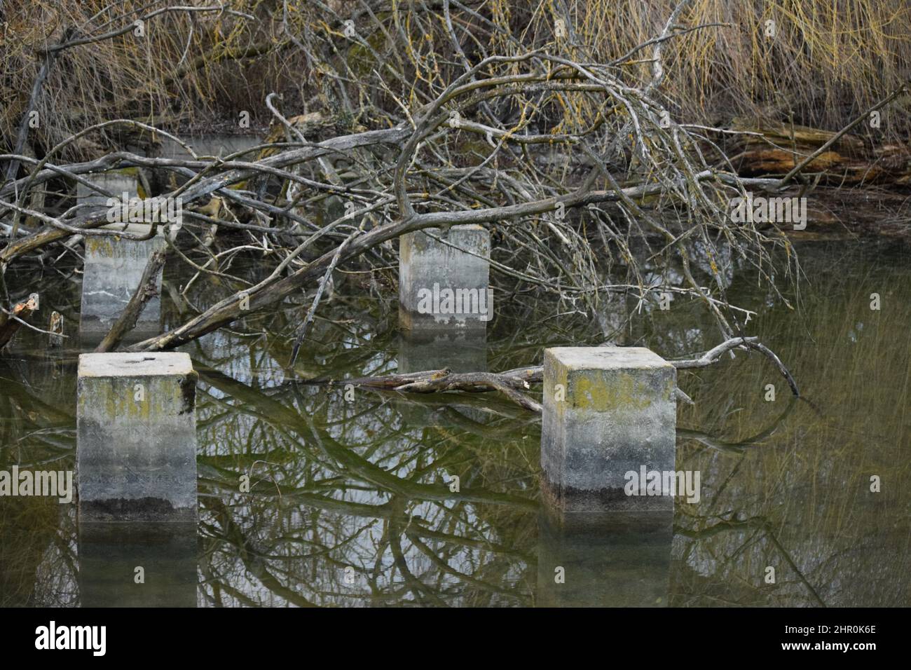 the Pillars of a former Jetty are slowly sinking into the Ground Stock ...