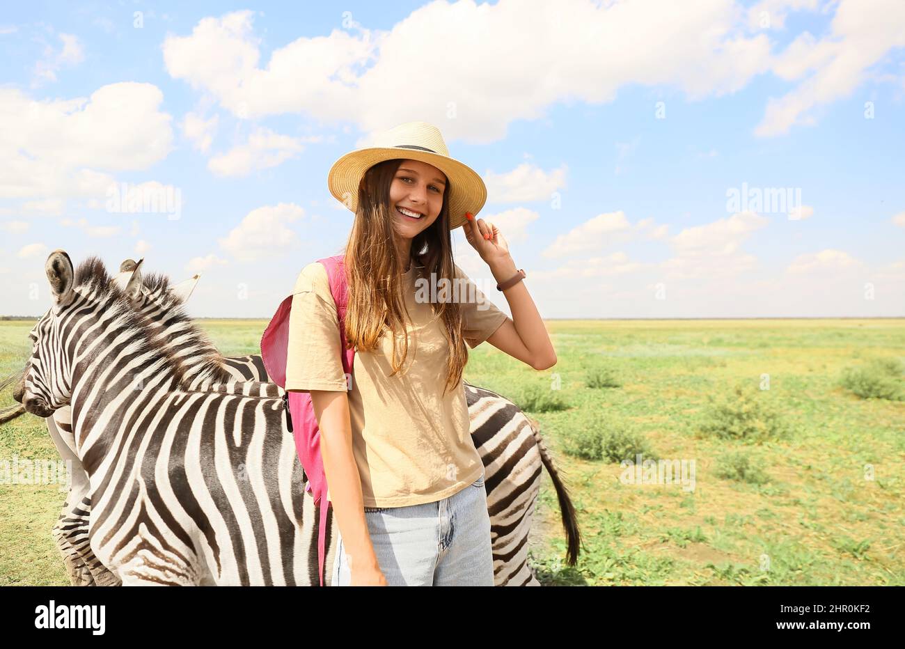 Female tourist with beautiful zebras in wildlife sanctuary Stock Photo ...
