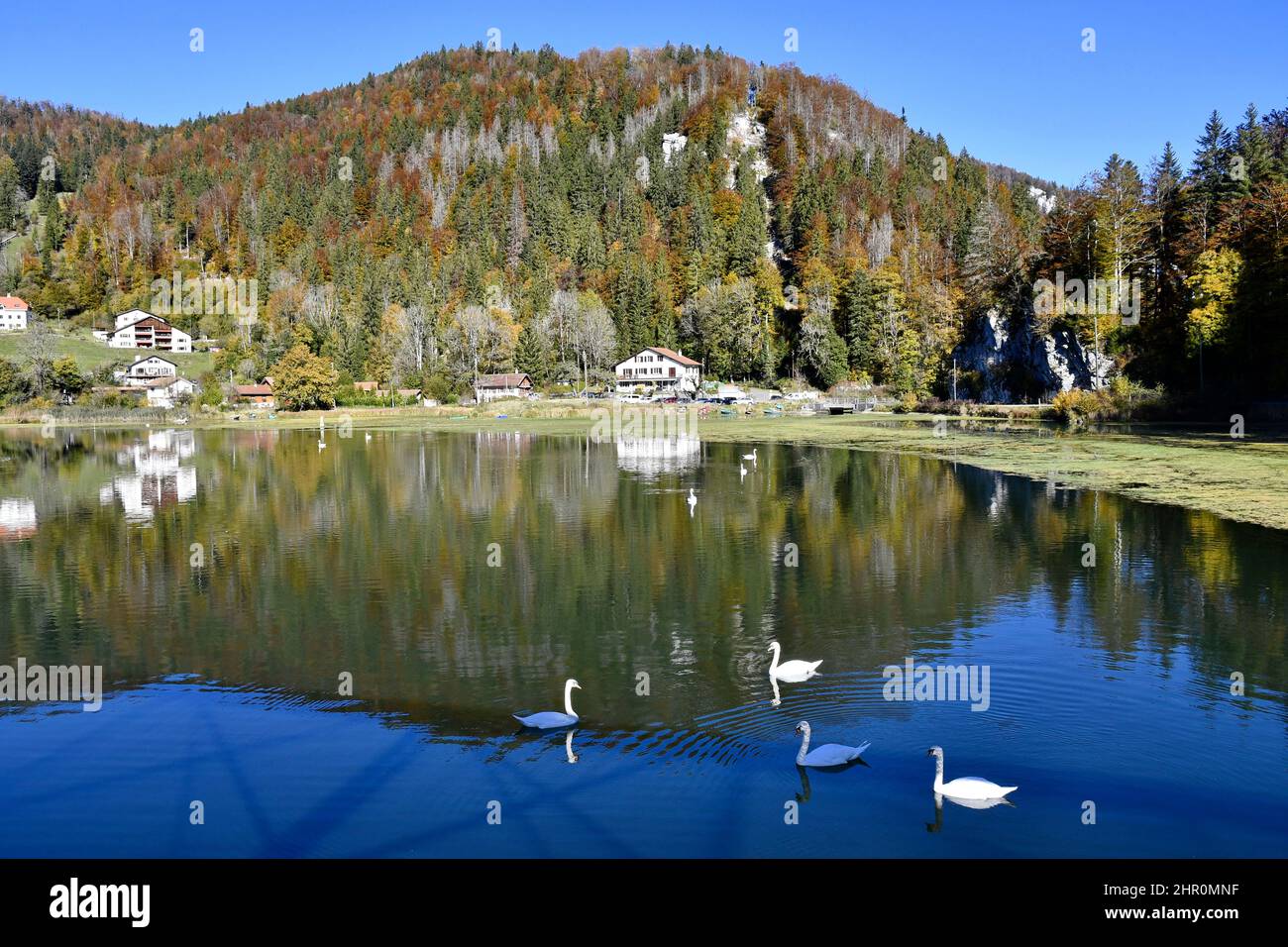 Neuchatel border hi-res stock photography and images - Alamy