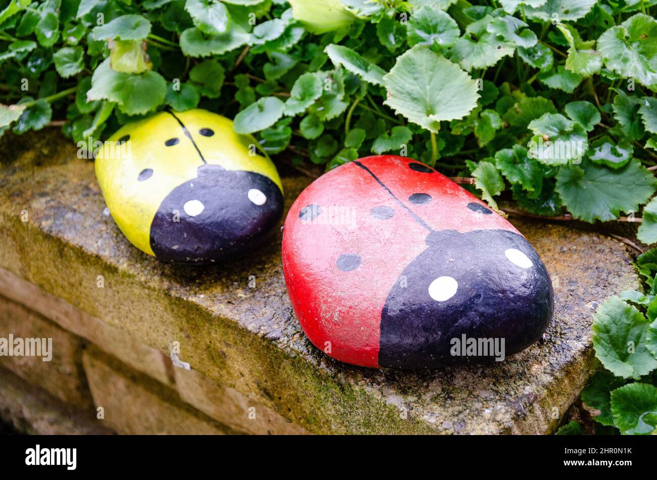 A couple of stones painted as red and yellow ladybirds atop a wall in a ...