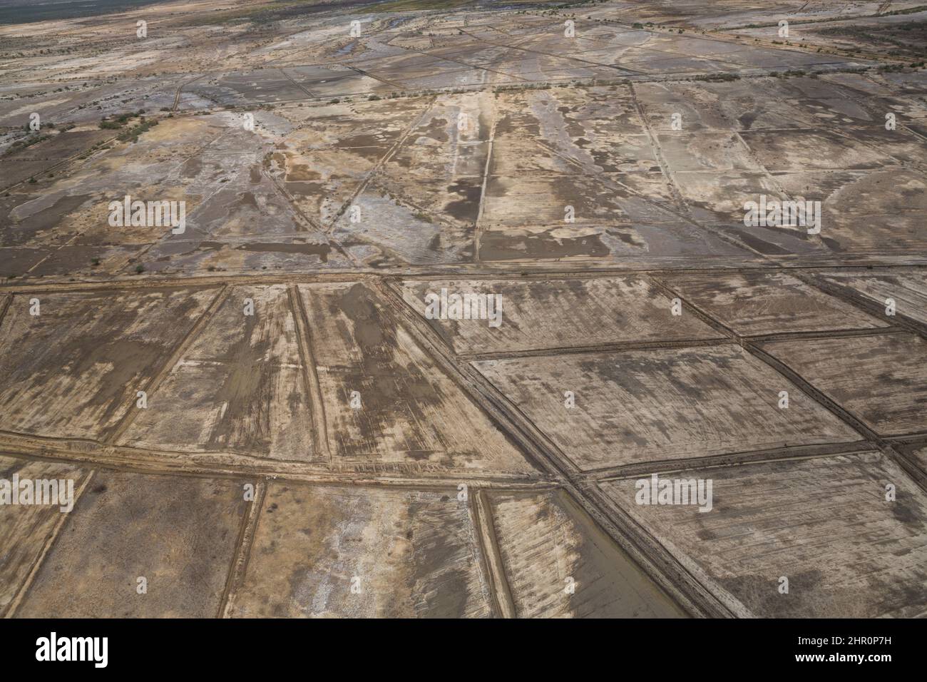 Over-salinated rice fields lie fallow in the Senegal River Delta ...
