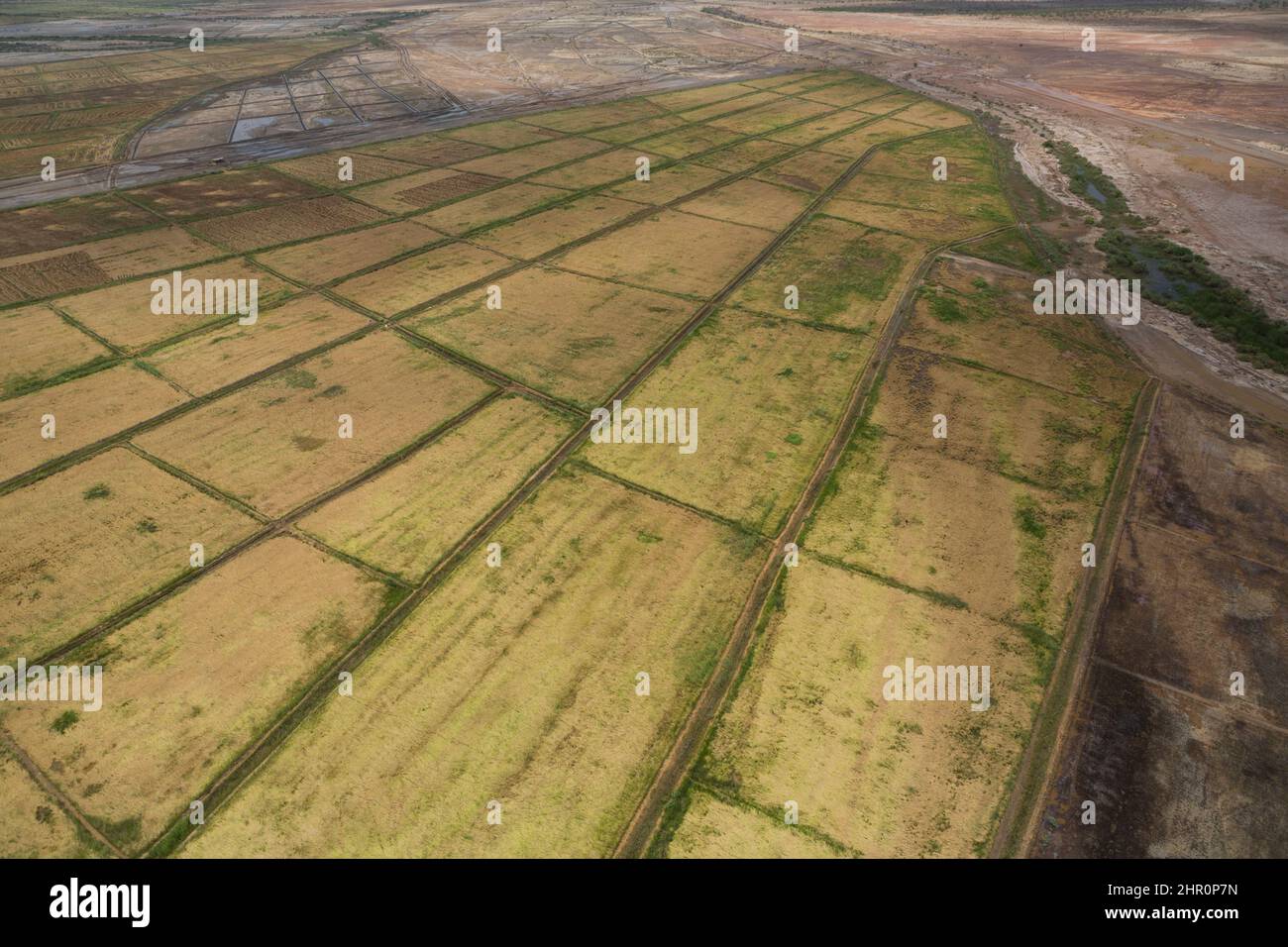Vast stretches of rice paddies are bordered by irrigation canals in the ...