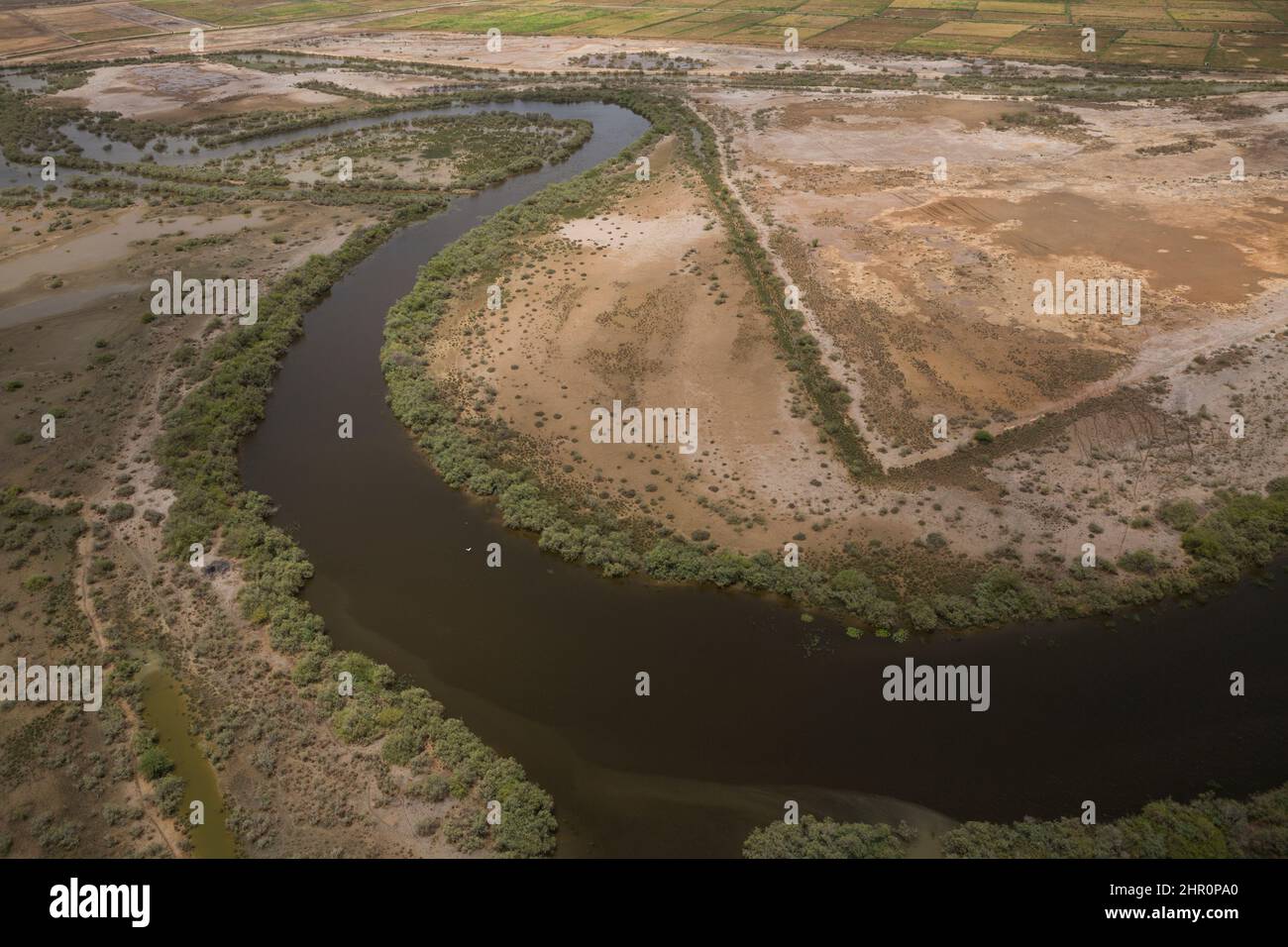 Rivers and marshes in the Senegal River Delta, northern Senegal, West ...