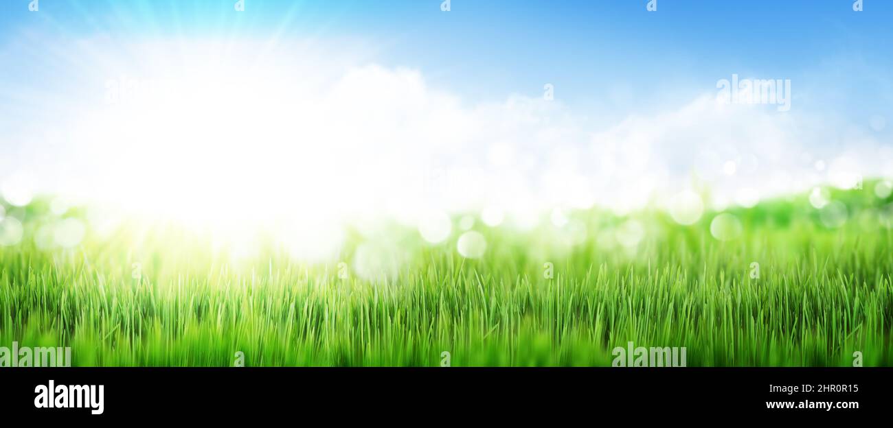 Green grass field and blue sky summer landscape background. Blurred ...