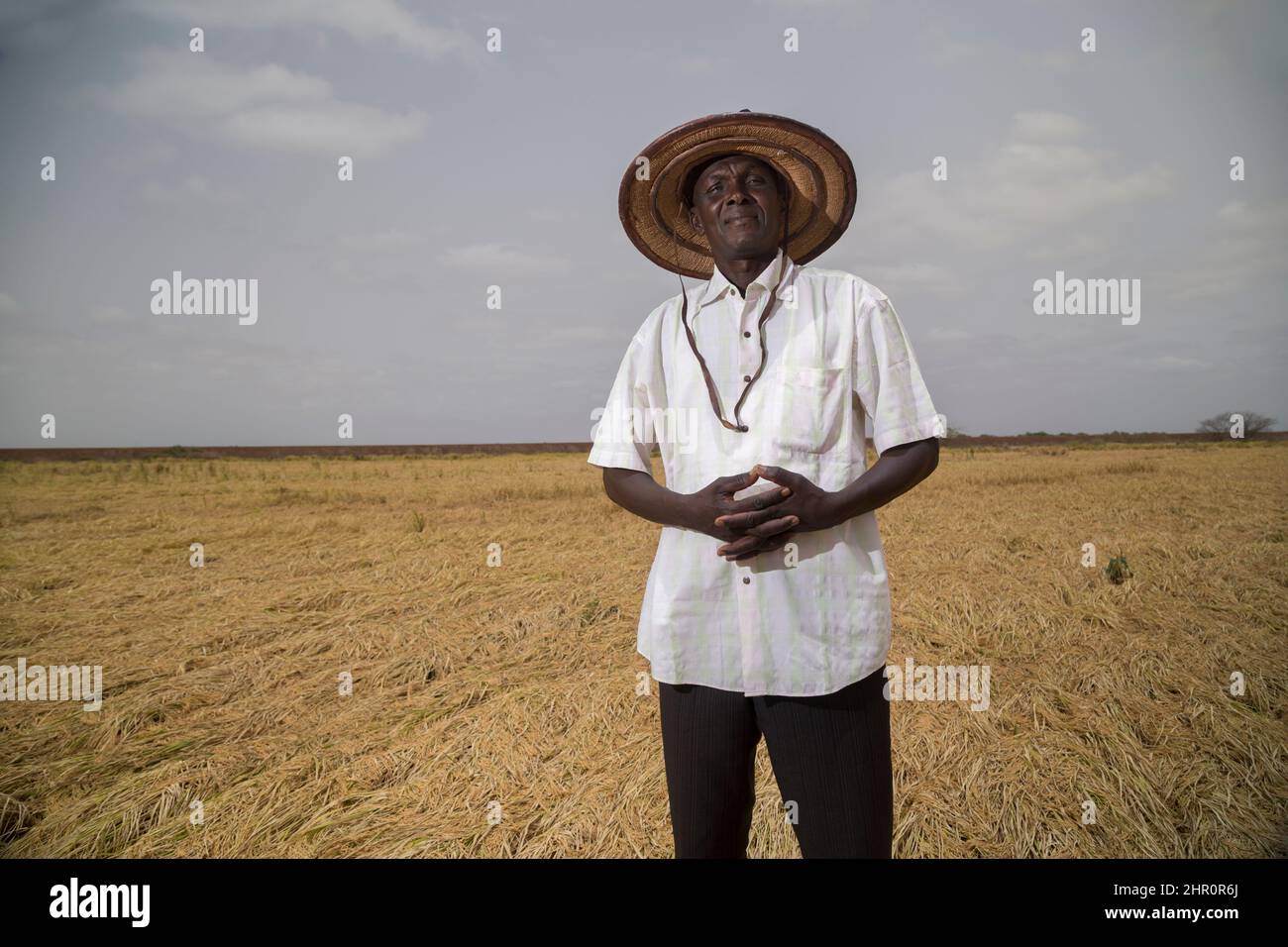 African rice paddy hi-res stock photography and images - Alamy