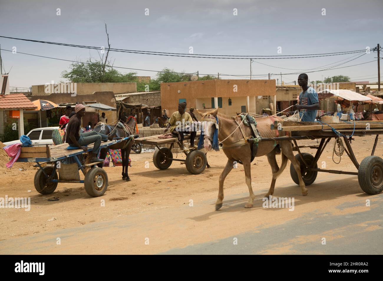 A horse and cart travels down a dirt road in the Senegal River valley ...