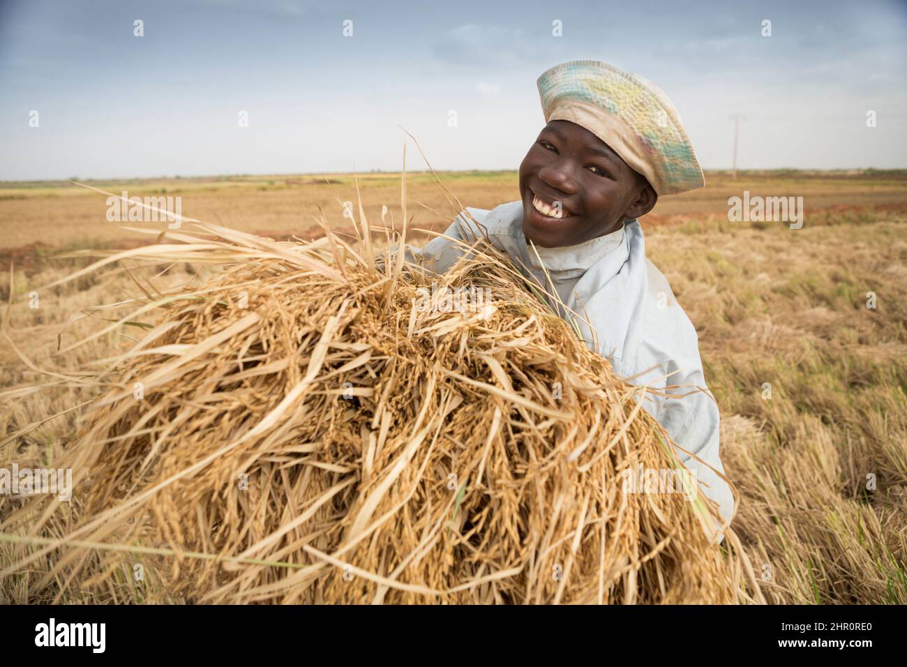 A youth works to glean a field by removing and stacking the hay left ...