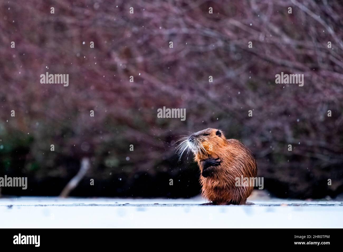 Cold day. I took this picture in afternoon. It was a very cold ...