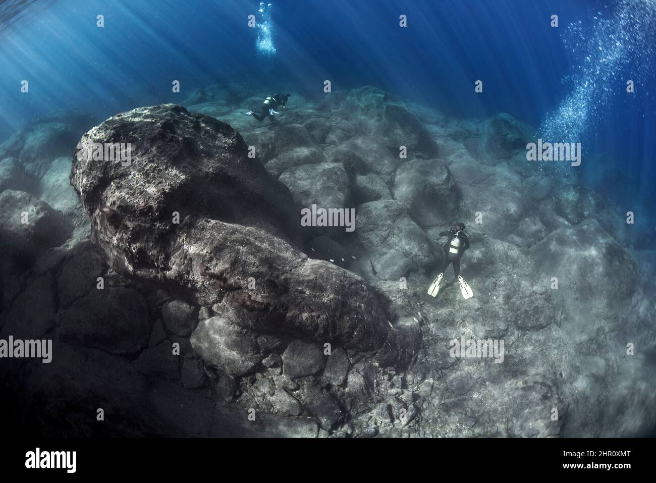 Rocky substrate, in the first few meters below the surface of the ocean ...