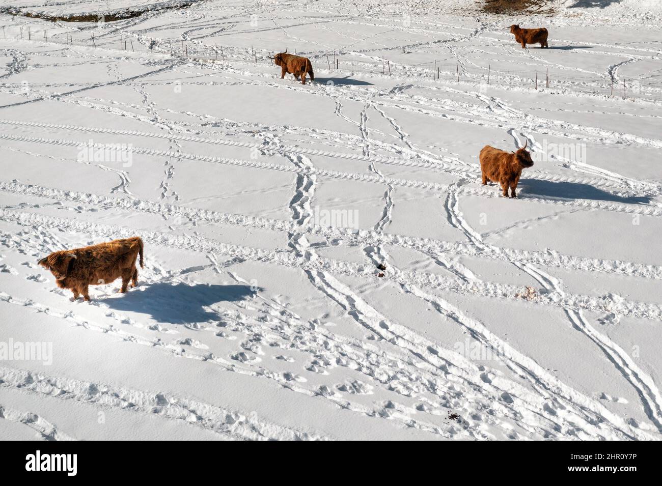 Beautiful winter foothills landscape with snowy meadows and Aberdeen ...