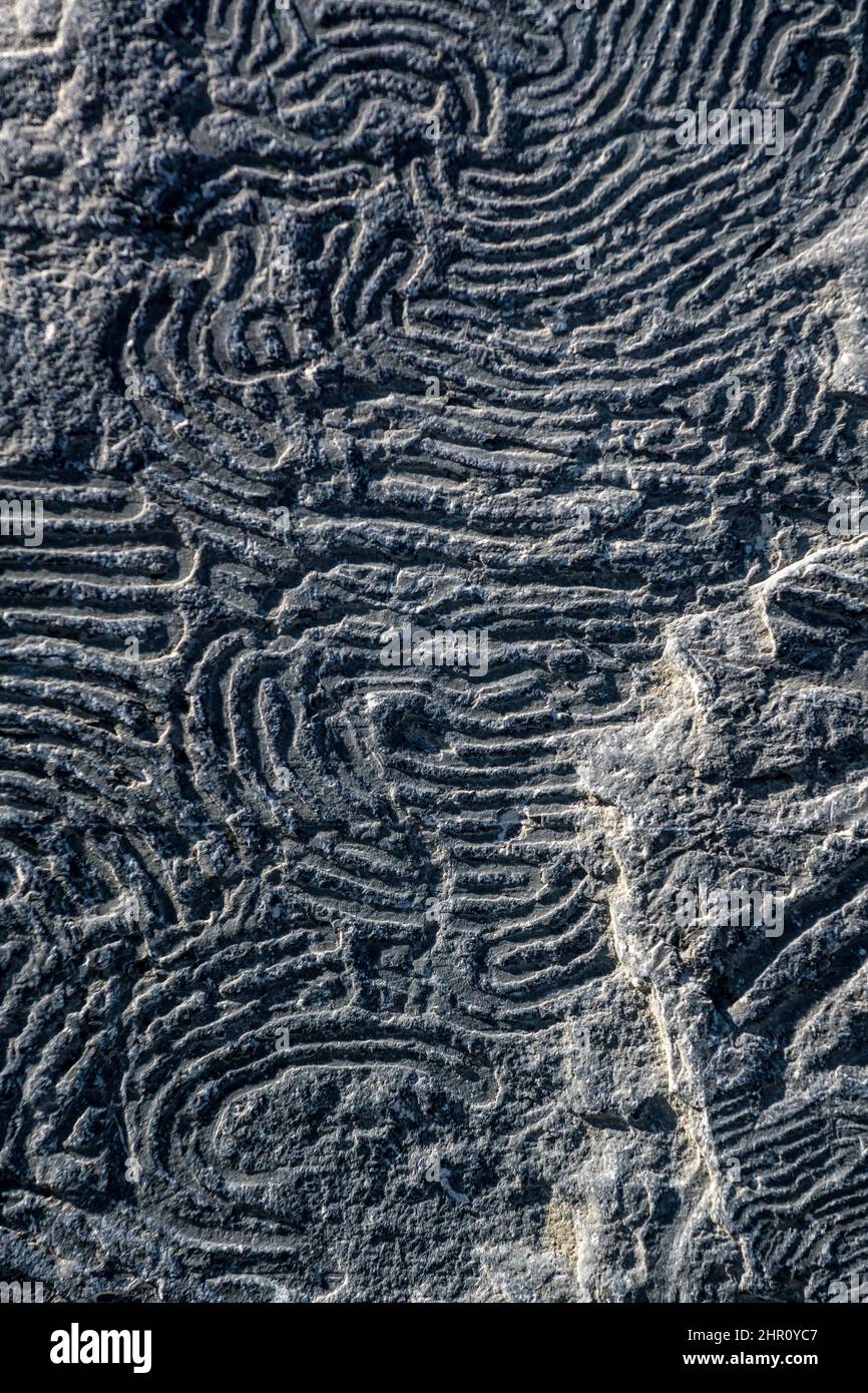 Secondary rocks hi-res stock photography and images - Alamy