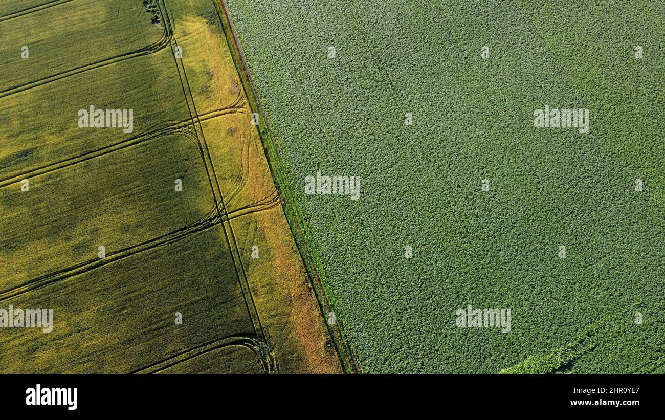 Drone shot above fields wheat hi-res stock photography and images - Alamy