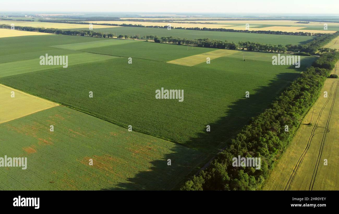 Diverse fields hi-res stock photography and images - Alamy