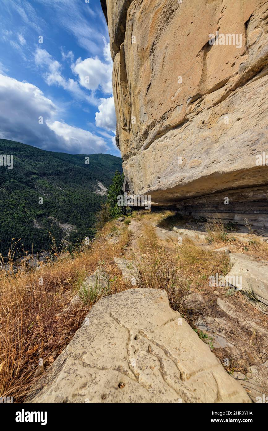 Ichnofossils in the Annot sandstone, Alpes de Haute Provence, France ...