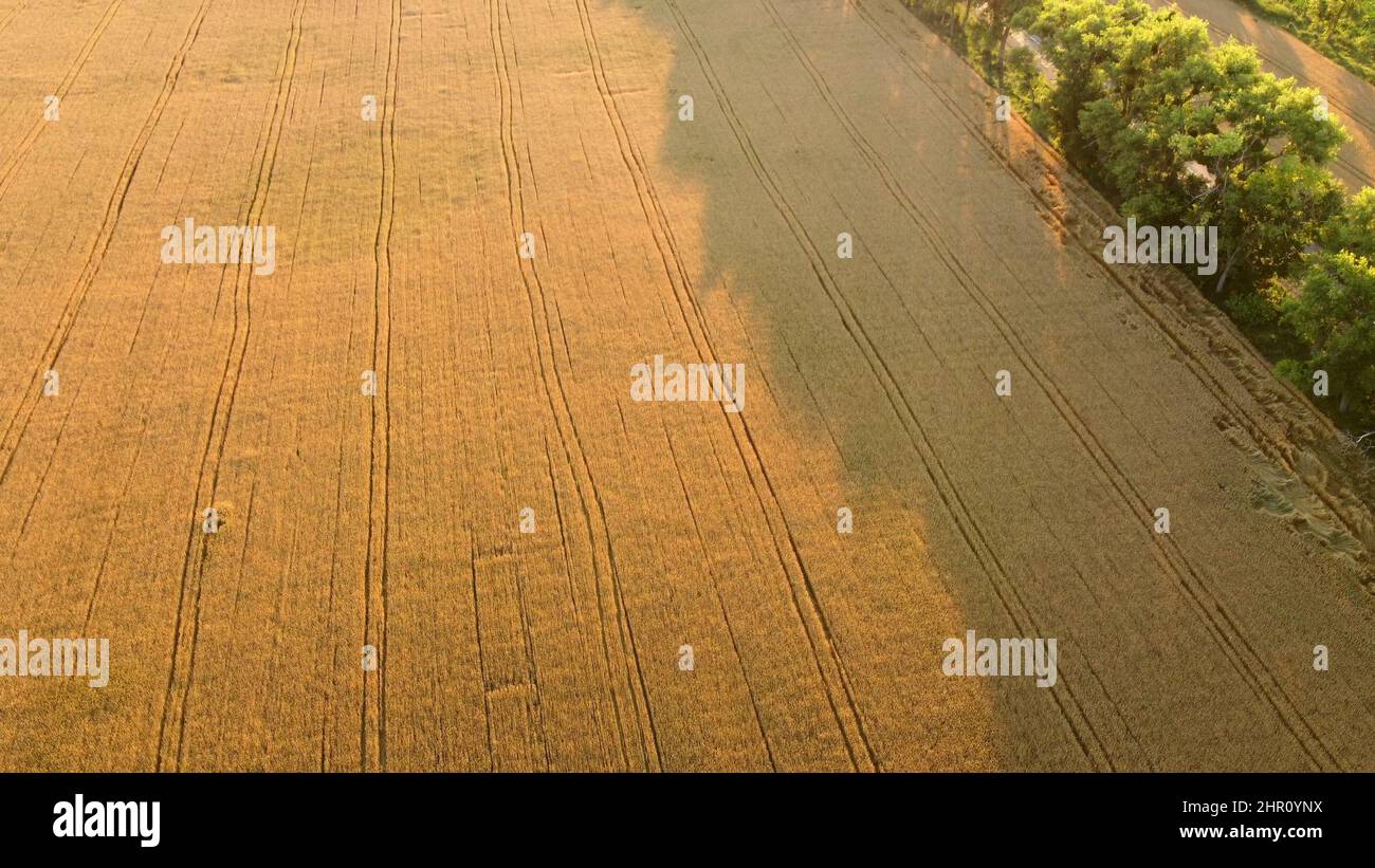 Flying over sowing field hi-res stock photography and images - Alamy