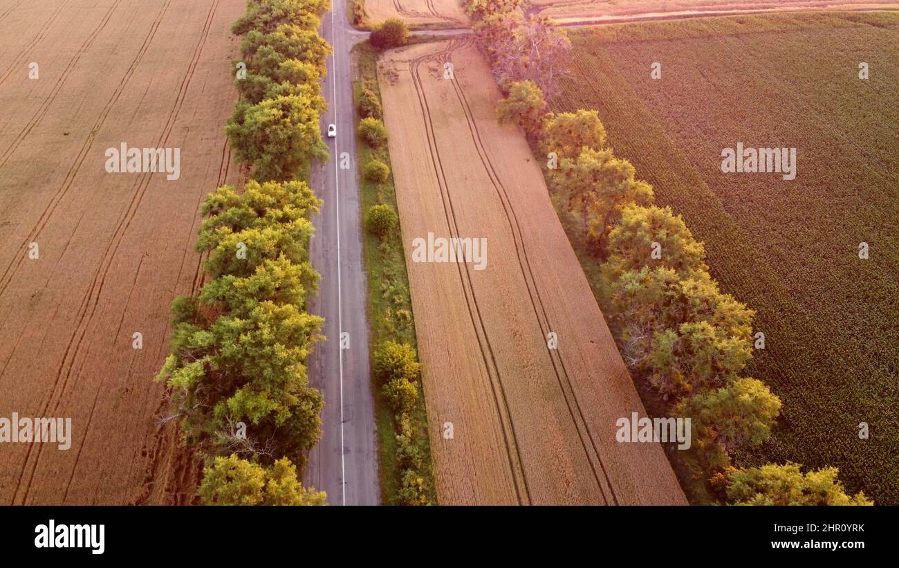 Aerial flying over fields wheat hi-res stock photography and images - Alamy