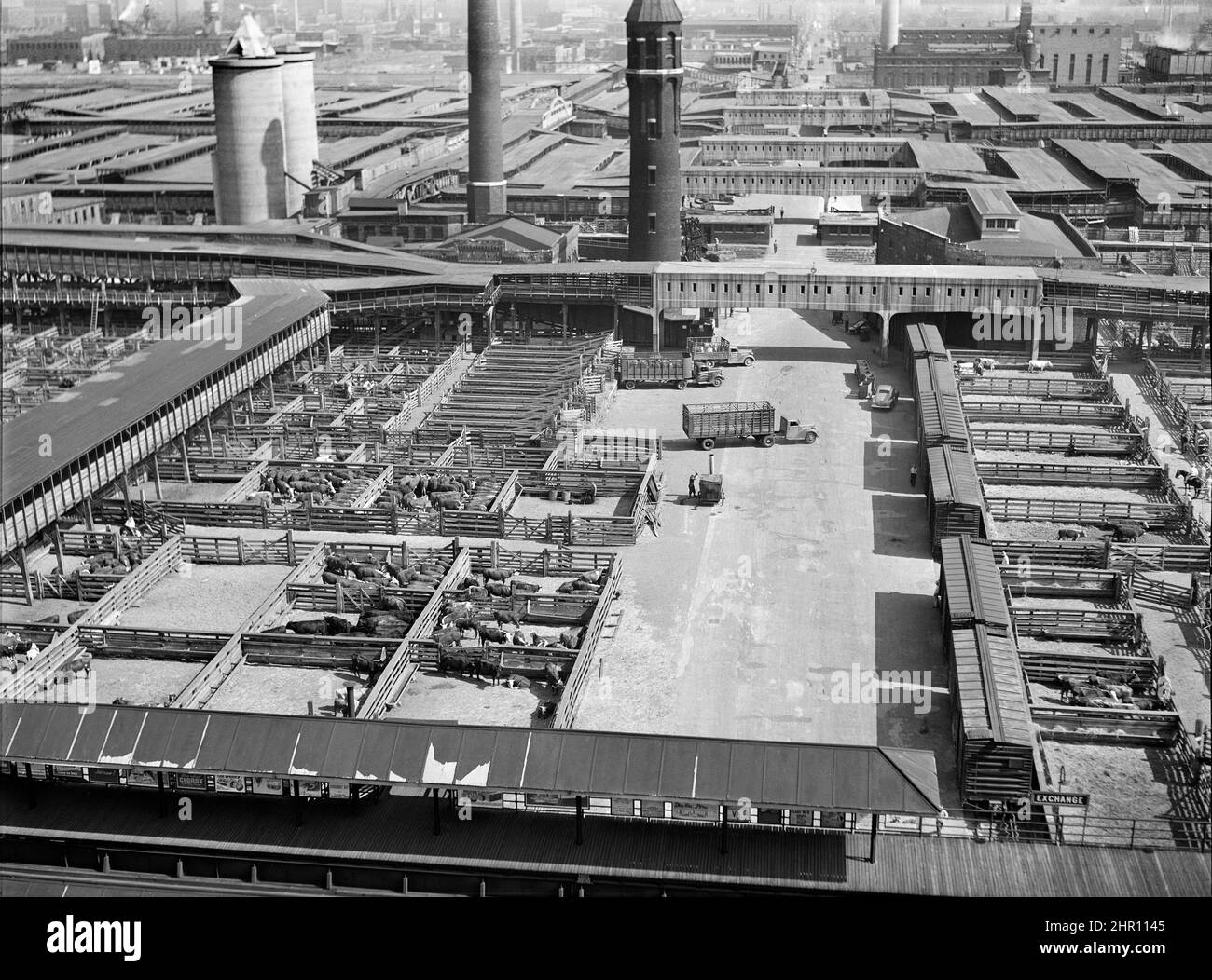 Chicago stockyards Black and White Stock Photos & Images - Alamy