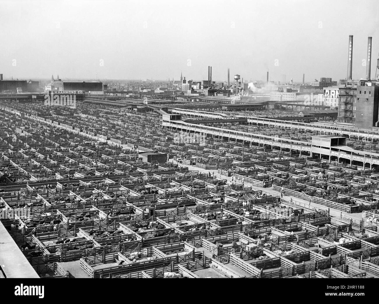 Union Stock Yards, Chicago, Illinois, USA, John Vachon, U.S. Office of ...