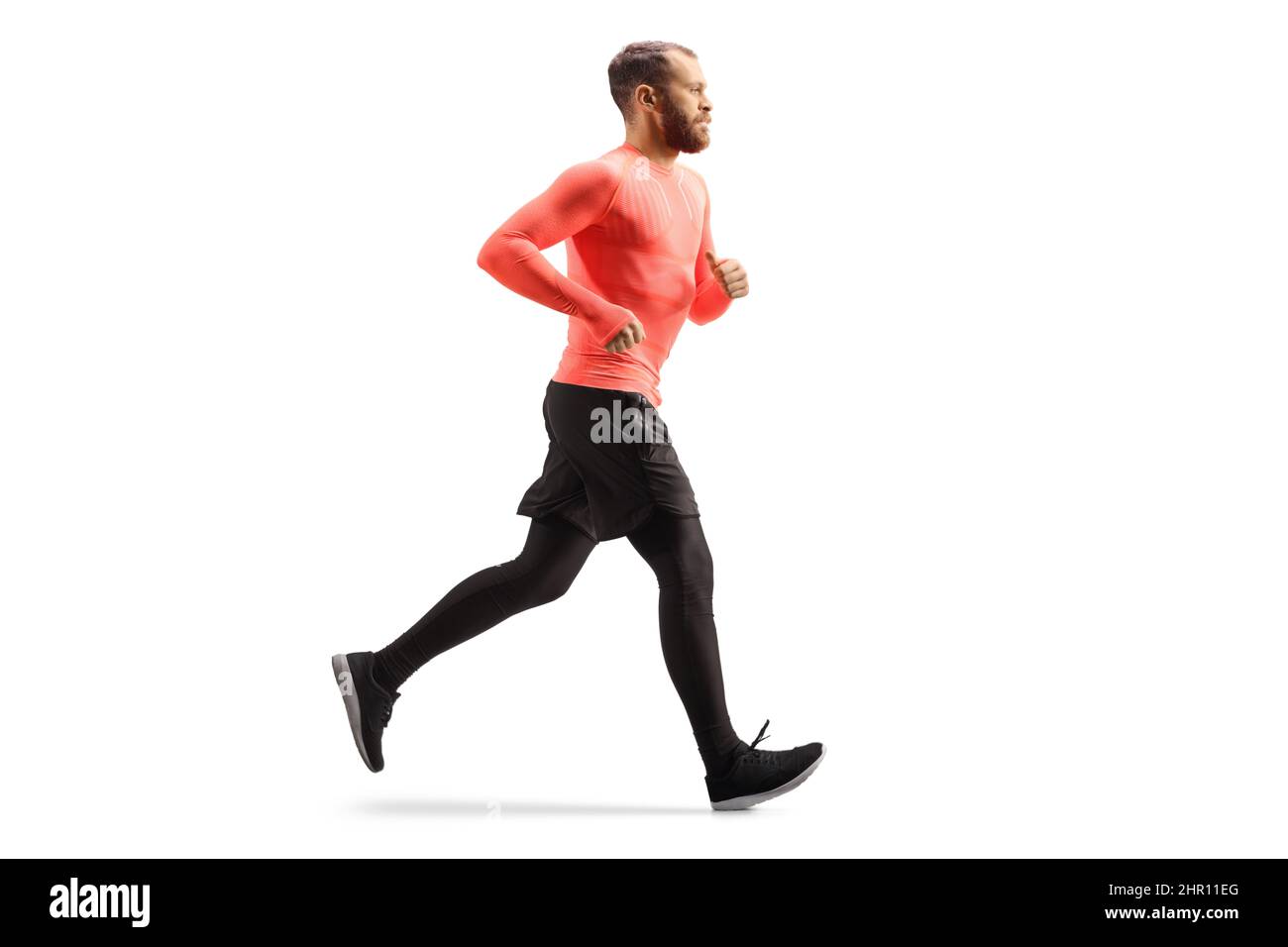 Athletic breed Cut Out Stock Images & Pictures - Alamy