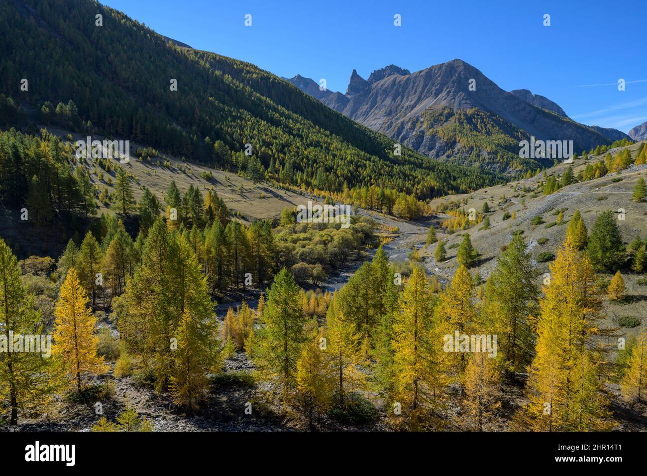 The Ubaye river under the Plan de Parouart in autumn, Larch and Willow ...