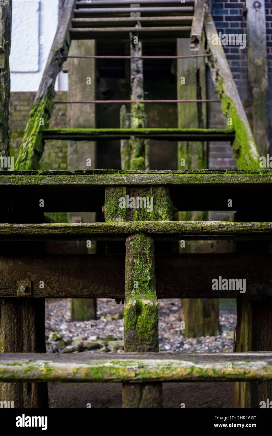 Detail of derelict moss covered wooden stairs on the banks of river ...