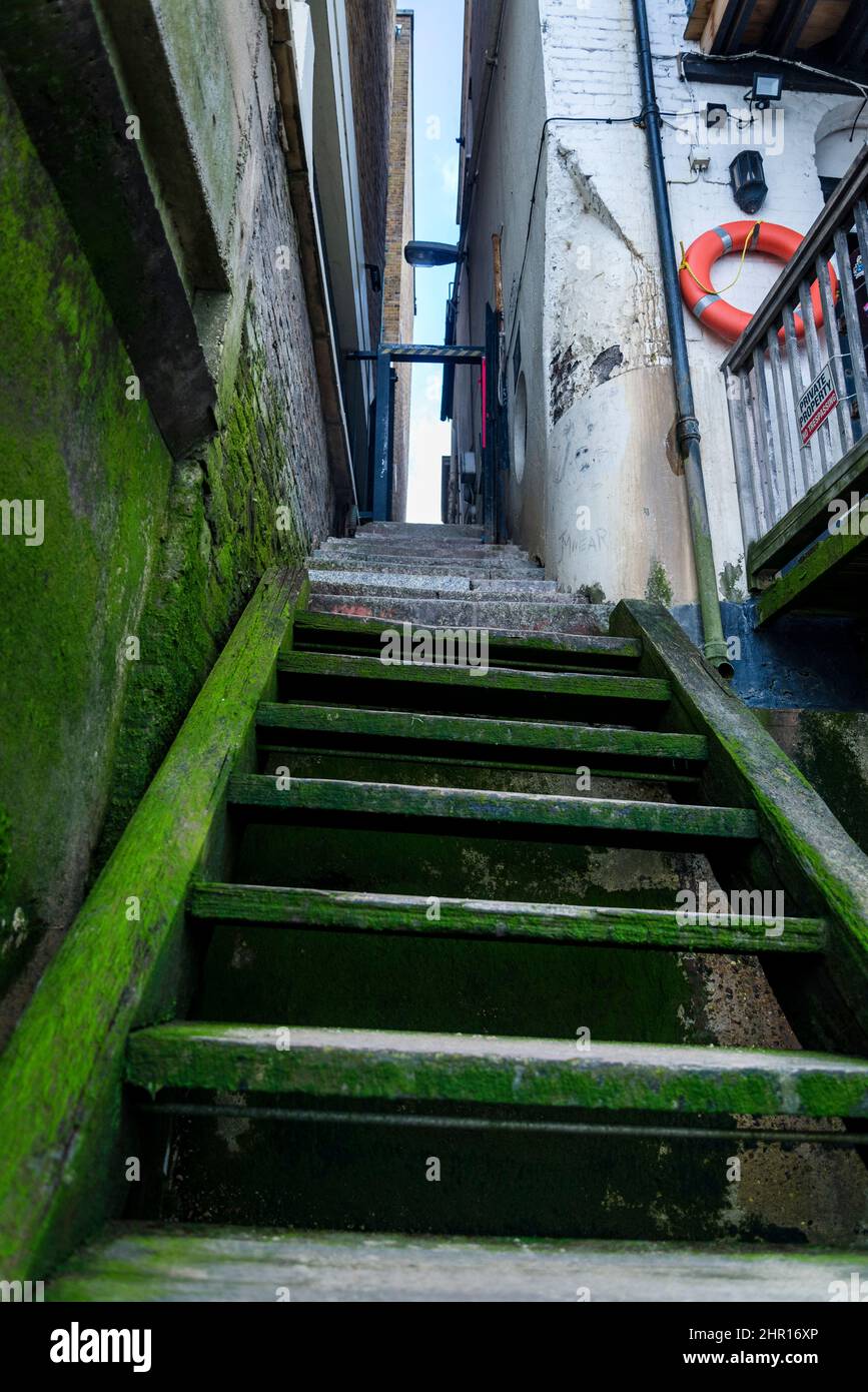 Moss covered wooden stairs on the bank of river Thames at low tide ...