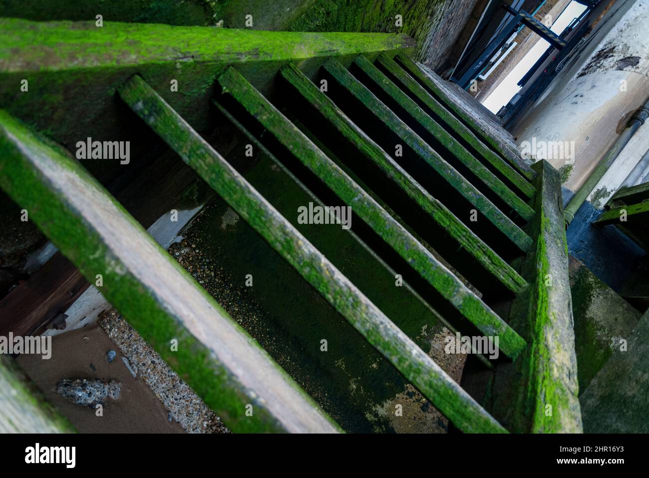 Moss covered wooden stairs on the bank of river Thames at low tide ...