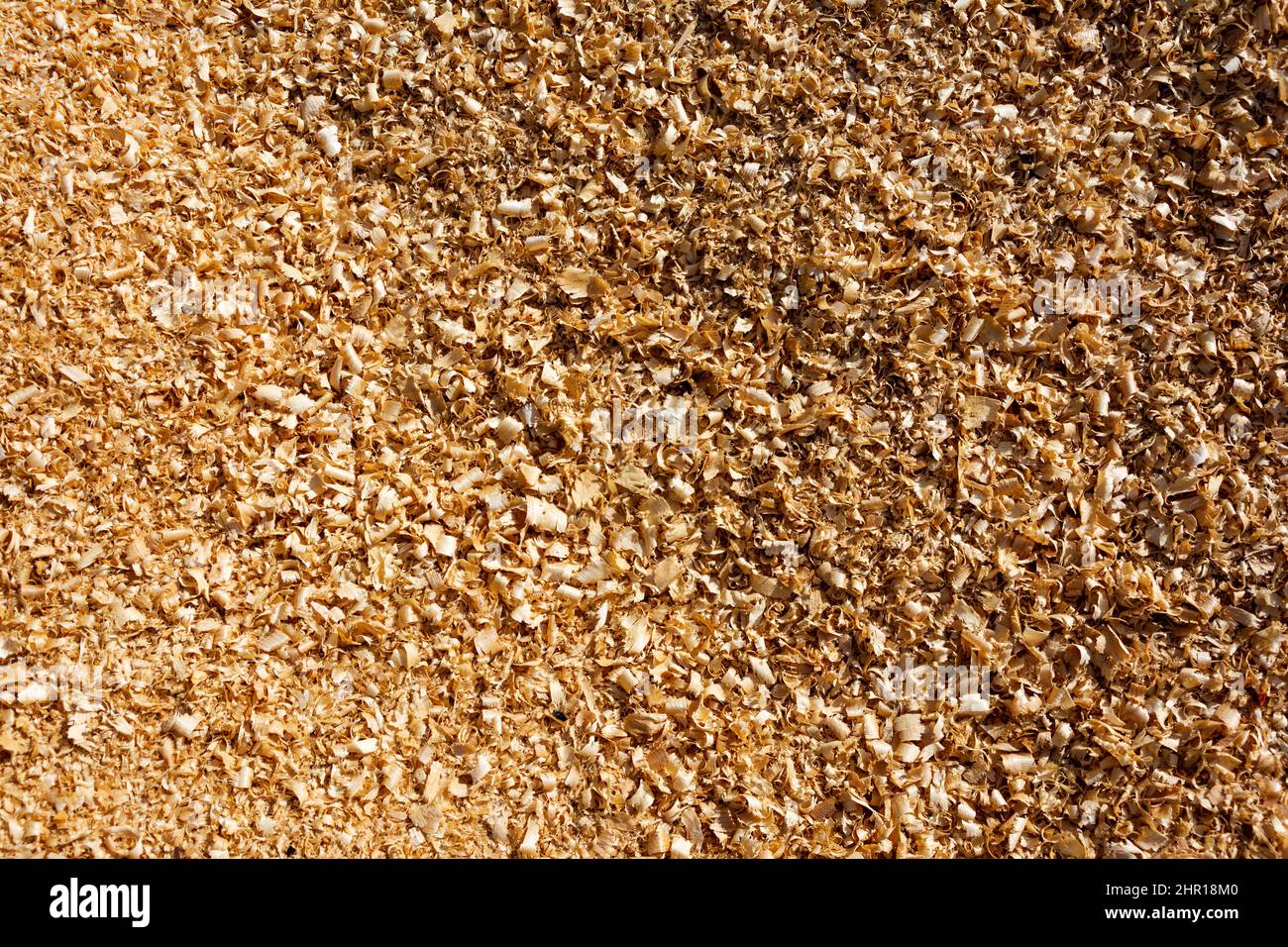 wood sawdust, carpentry waste, a lot of sawdust, combustible waste ...