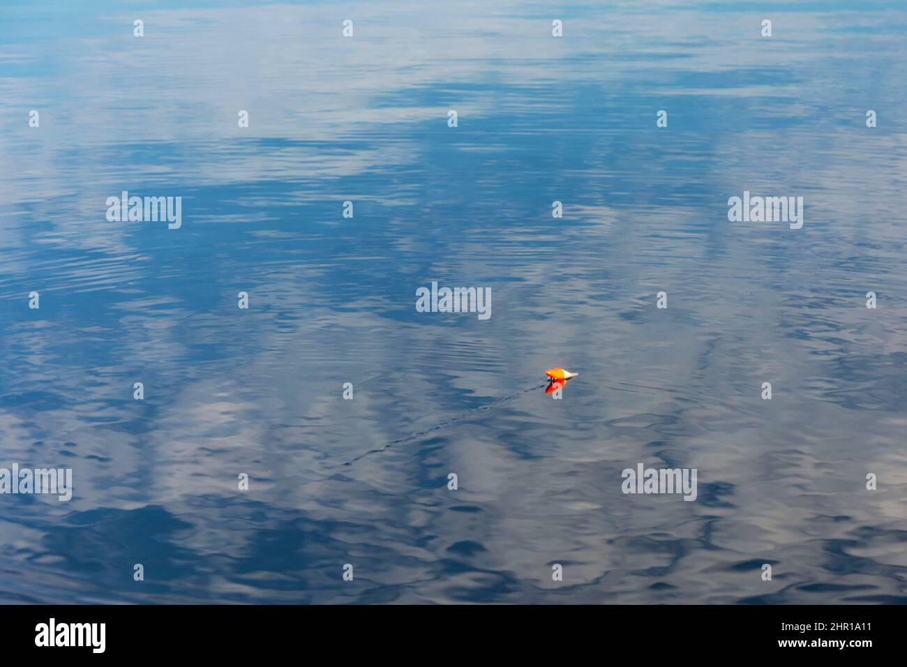 fishing red float on the water surface of the lake, fishing, recreation ...