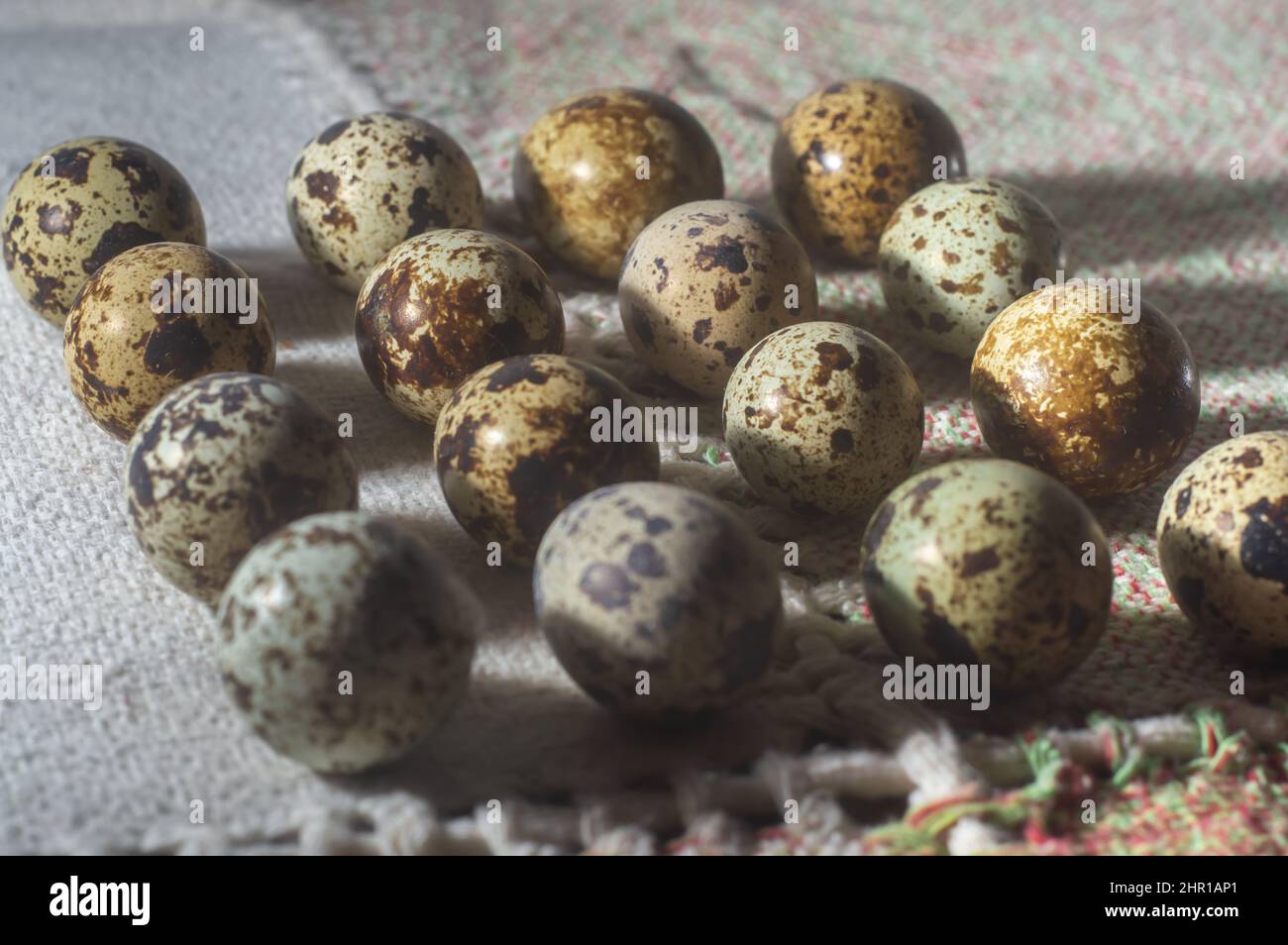 Quail eggs closeup in a sacking background,texture and farm concept ...