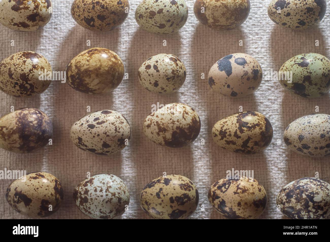 Quail eggs closeup in a sacking background,texture and farm concept ...