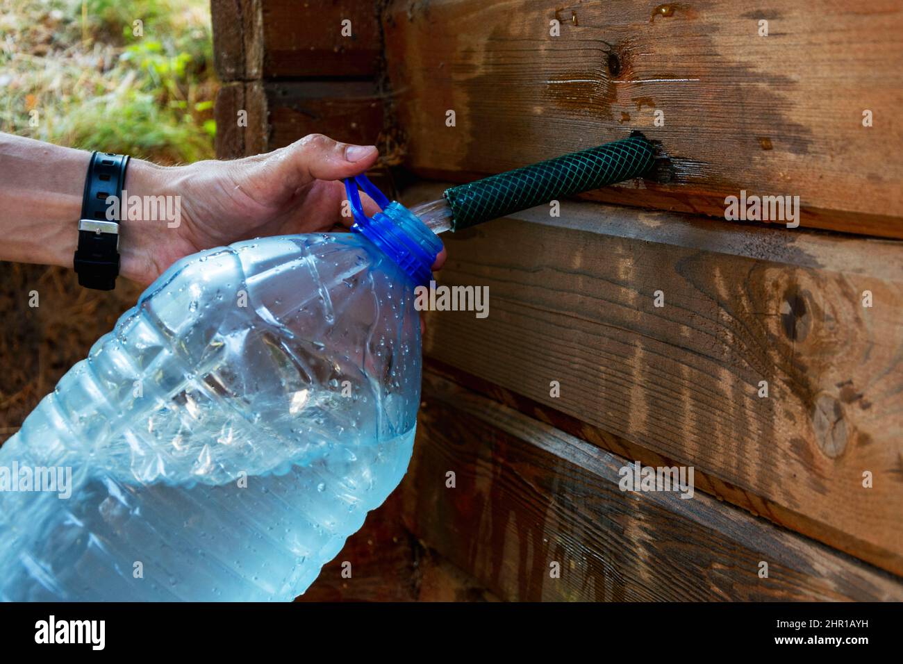 collecting natural spring water in a 5-liter plastic bottle, filling ...