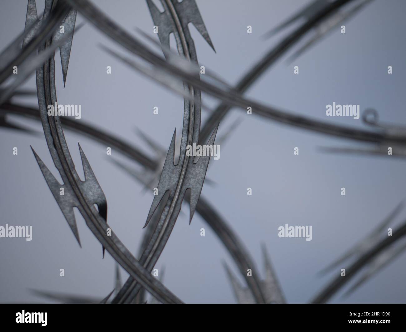 Abstract pattern of razor wire, also known as Embassy wire, in ...