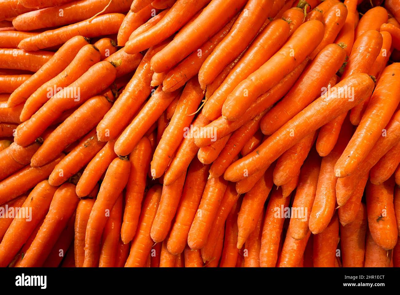 On the ground there are many carrots that have just been brought from ...