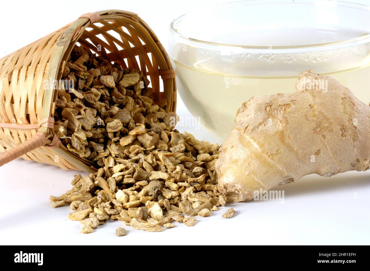 ginger, common ginger, cooking ginger, Canton ginger (Zingiber ...