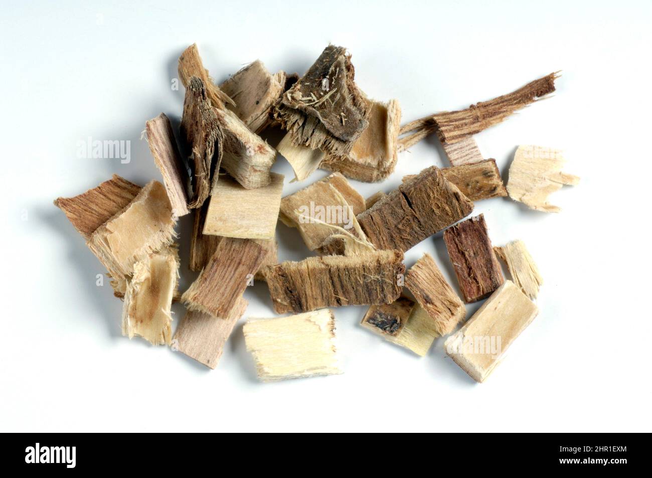 Quillaia, or soap bark Stock Photo - Alamy