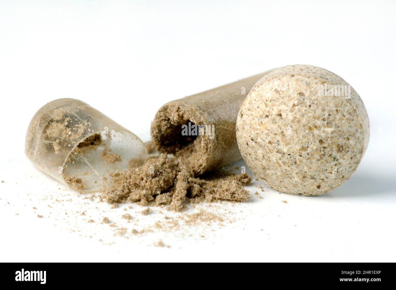 shiitake (Lentinula edodes, Lentinus edodes), opened tablet capsule ...